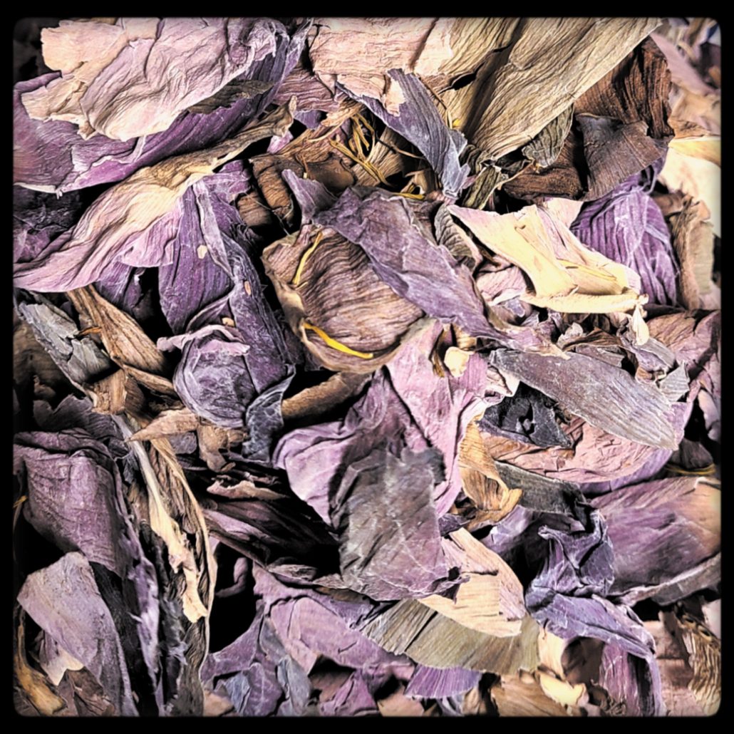 Blue Lotus Flower – Kratom/CBD | botanicals